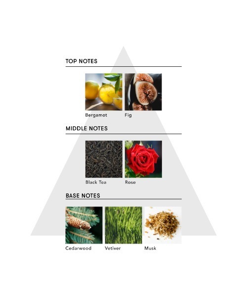 Ameri 香水 「Ameriコラボ商品」シグネチャーパフューム（S） / BLACK STONE レディース メンズ : ZOZOTOWN Yahoo!店 - 通販 - Yahoo!ショッピング