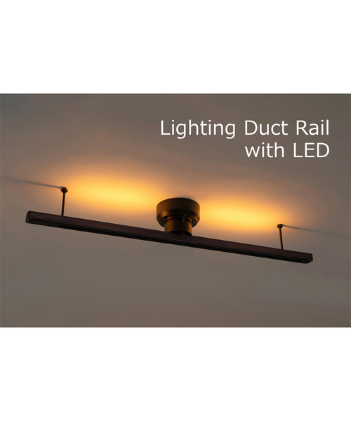 journal standard Furniture（ジャーナル スタンダード ファニチャー） 照明 Lighting Duct Rail ...