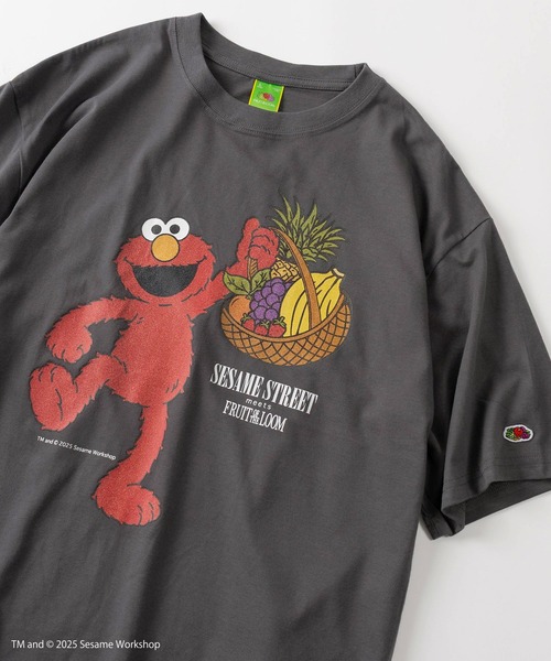 FRUIT OF THE LOOM tシャツ 「73」「Fruit of the Loom/フルーツオブザルーム」SESAME STREET meets LOO : ZOZOTOWN ...