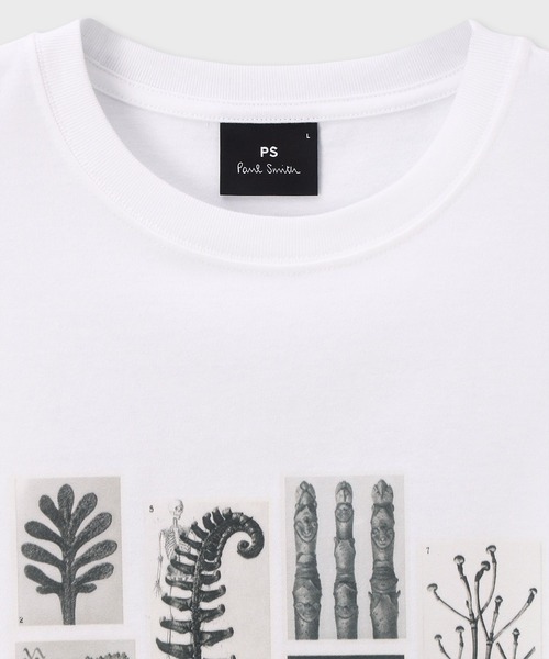 PS Paul Smith tシャツ Desert Flowers” Tシャツ / 152568 011R メンズ : ZOZOTOWN ...
