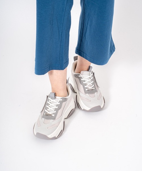 STEVE MADDEN（スティーブ・マデン） スニーカー 「STEVE MADDEN