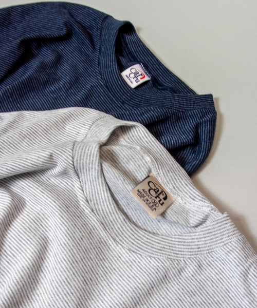 CalCru tシャツ WEB限定 Cal Cru/カルクルー Adult 1/16 microstripe-TEE メンズ レディース ...