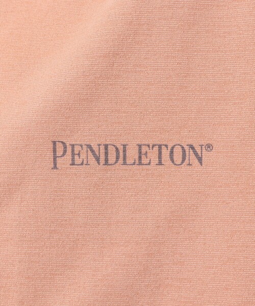 PENDLETON tシャツ 「PENDLETON/ペンドルトン」CALCULO×SOLOTEX Jersey T 25SS メンズ : ZOZOTOWN Yahoo!店 - 通販 ...