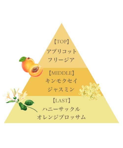 FERNANDA ハンドソープ フェルナンダ fernanda フレグランスプレミアムハンドソープ（オスメアンソス）/Fragrance Premium Hand So : ZOZOTOWN ...