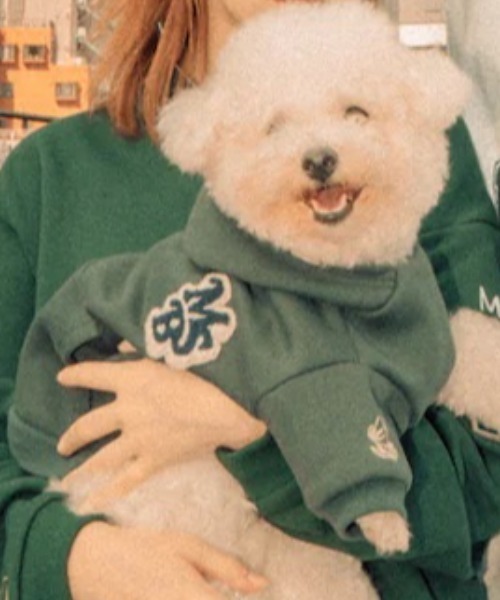 My Sugar Babe ペット msb logo hoodie(for pets) / ペット用ロゴフーディ キッズ : ZOZOTOWN ...