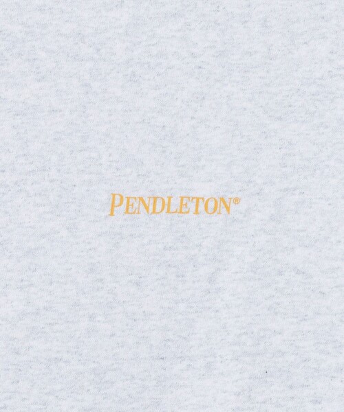PENDLETON tシャツ 「PENDLETON/ペンドルトン」バックプリントTシャツ ワンポイントロゴ メンズ レディース : ZOZOTOWN Yahoo!店 - 通販 - Yahoo ...