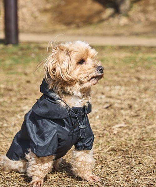 ペット SP Dog Rain Jacket メンズ レディース :75781523:ZOZOTOWN Yahoo!店 - 通販 ...