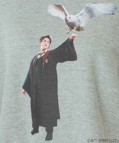 ROSE BUD（ローズバッド） トレーナー スウェット (COLSUN)HARRY