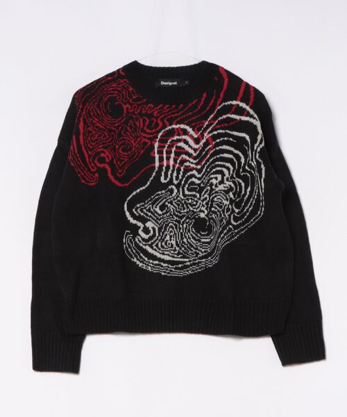 Desigual（デシグアル） ニット セーター TOULOUSELACROIX ヘビー
