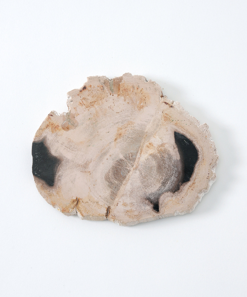 インテリア PETRIFIED WOOD PLATE ウッドプレートS :77534992:ZOZOTOWN Yahoo!店 - 通販 ...