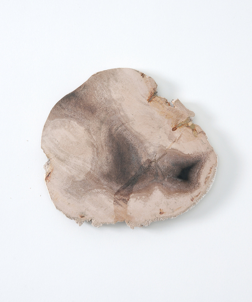 インテリア PETRIFIED WOOD PLATE ウッドプレートS :77534992:ZOZOTOWN Yahoo!店 - 通販 ...